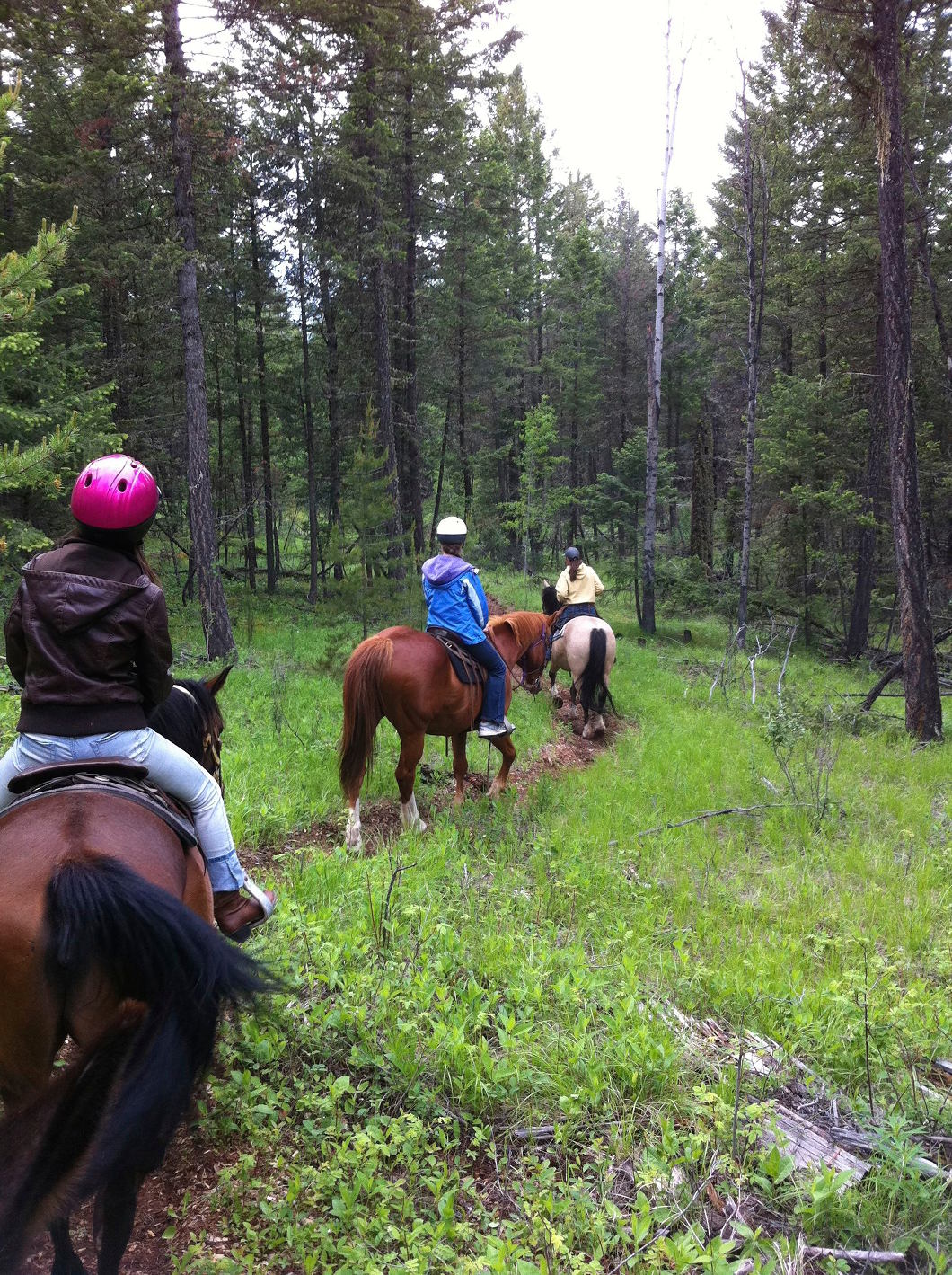 Trail Rides